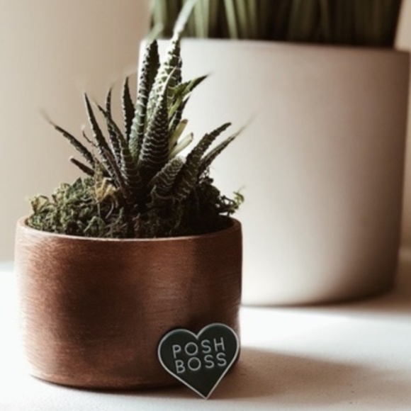 ATLPOSHER | Accessories | Posh Boss Swag Accessory Lapel Pin Brand New ...